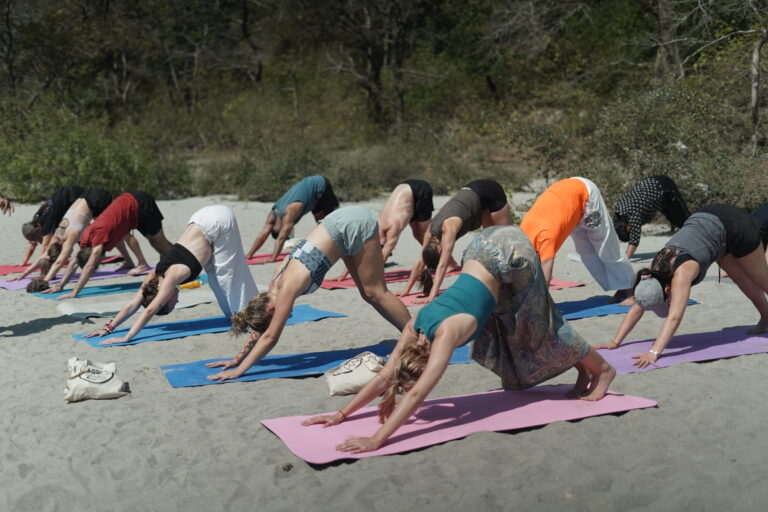 Five Yoga Asanas for Back Pain Relief: Heal Your Spine Naturally ...